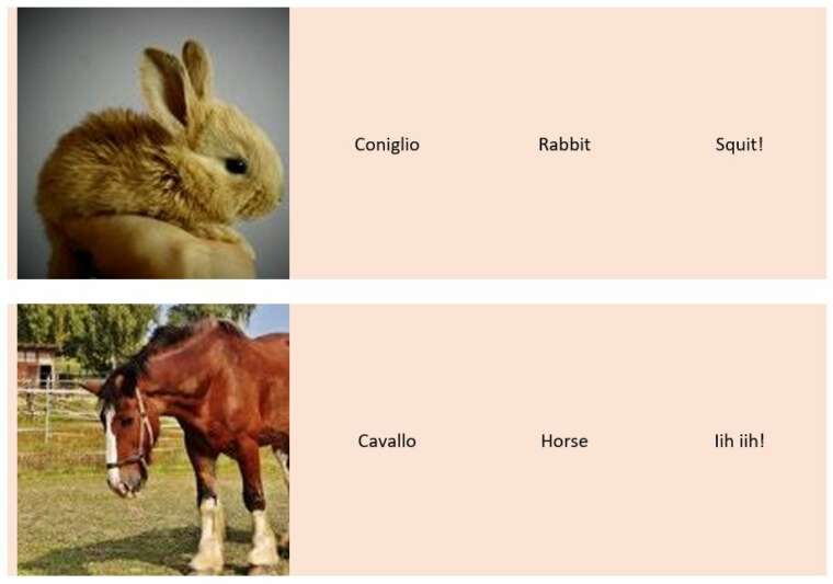 Farm Animals Nouns in Italian - Commonly Used Words