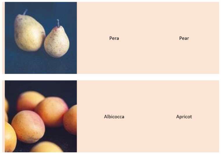 Italian Nouns: Common Food - Commonly Used Words