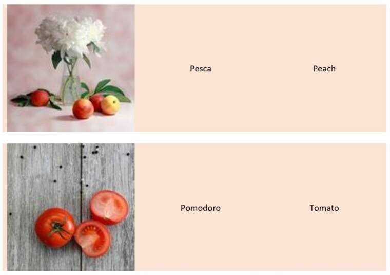 Italian Nouns: Common Food - Commonly Used Words