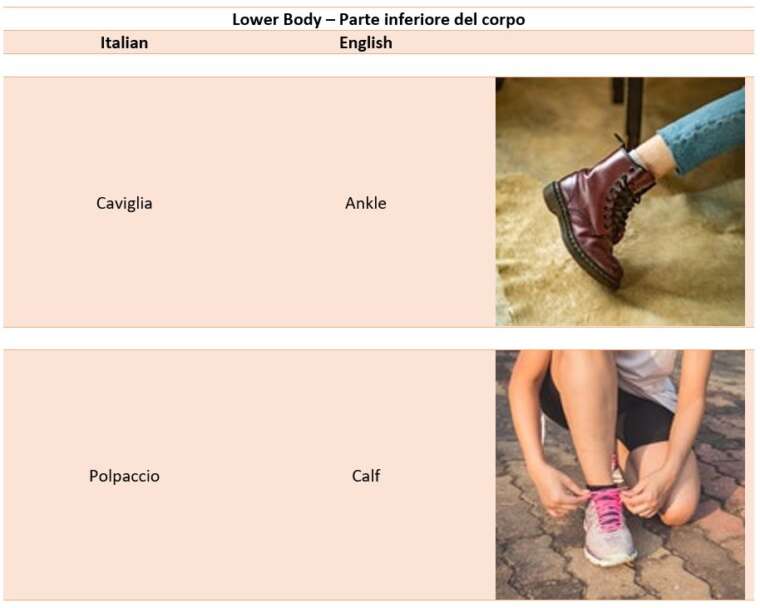 Most common body parts in Italian - Commonly Used Words