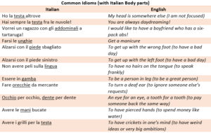 Most common body parts in Italian - Commonly Used Words